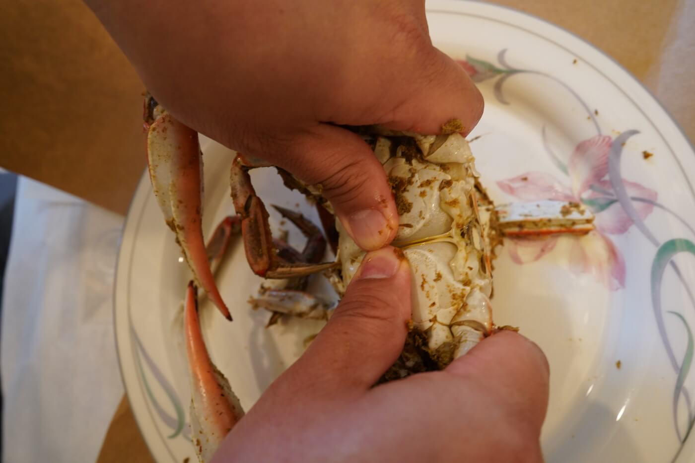 Get Ready for Our Crab Feast with Eating Tips – American Prime